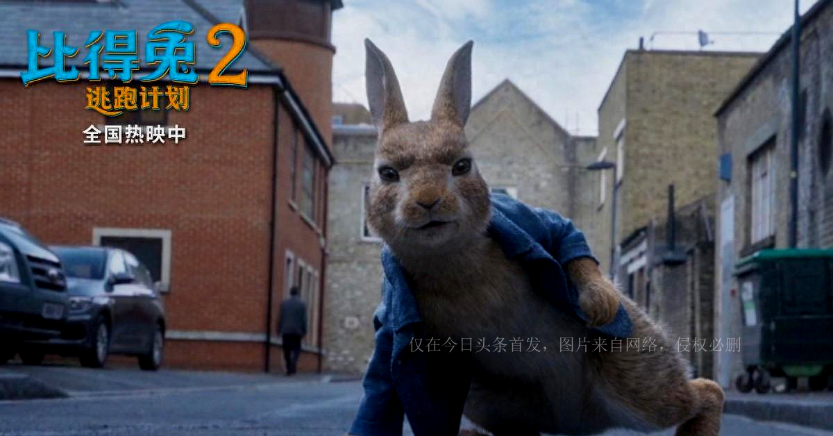 Hurry up and watch the rabbit with the whole family. "Peter Rabbit 2 ...