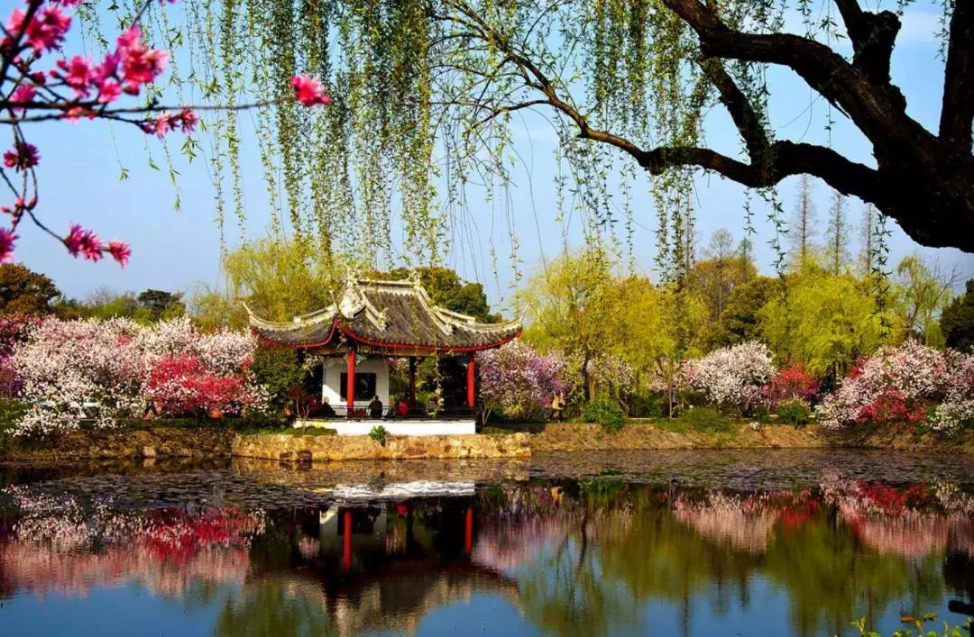 The 20 most suitable places for spring travel, to meet the spring in ...