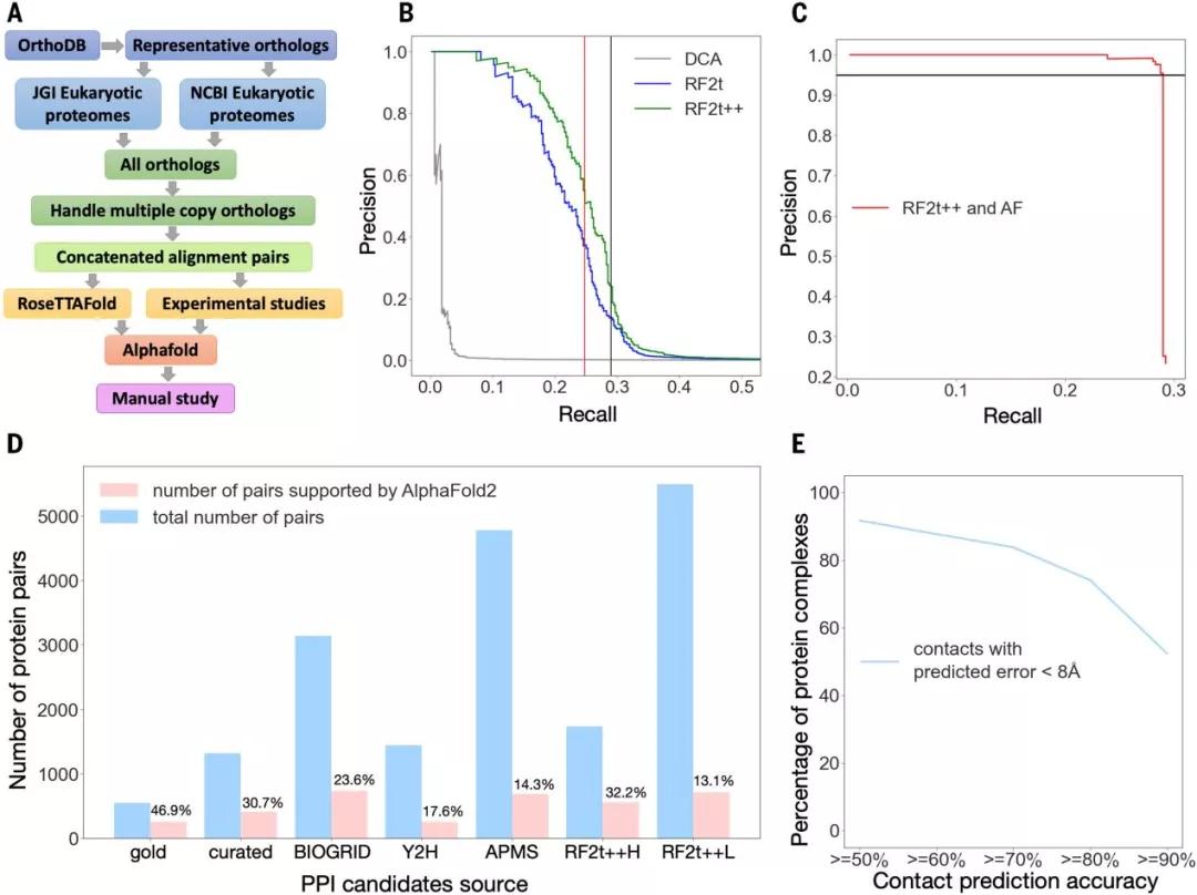 Calculation of the core structure of eukaryotic protein complex - iNEWS