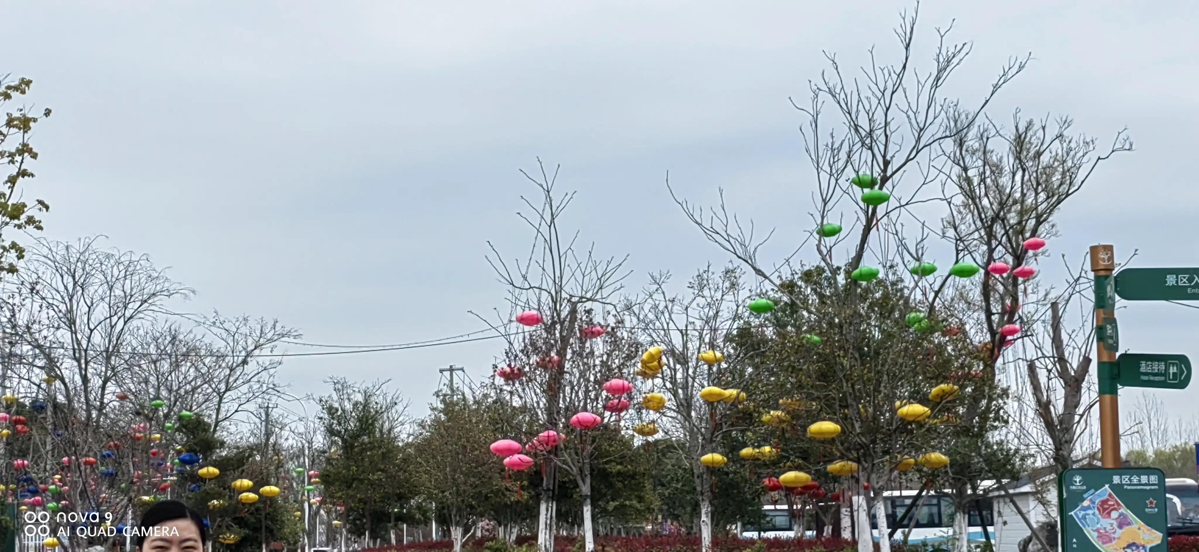 Suzhou Red Bean Villa - iMedia