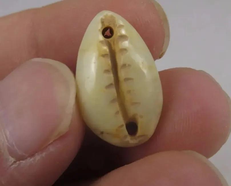 Why were shells used as currency in ancient times not afraid of ...