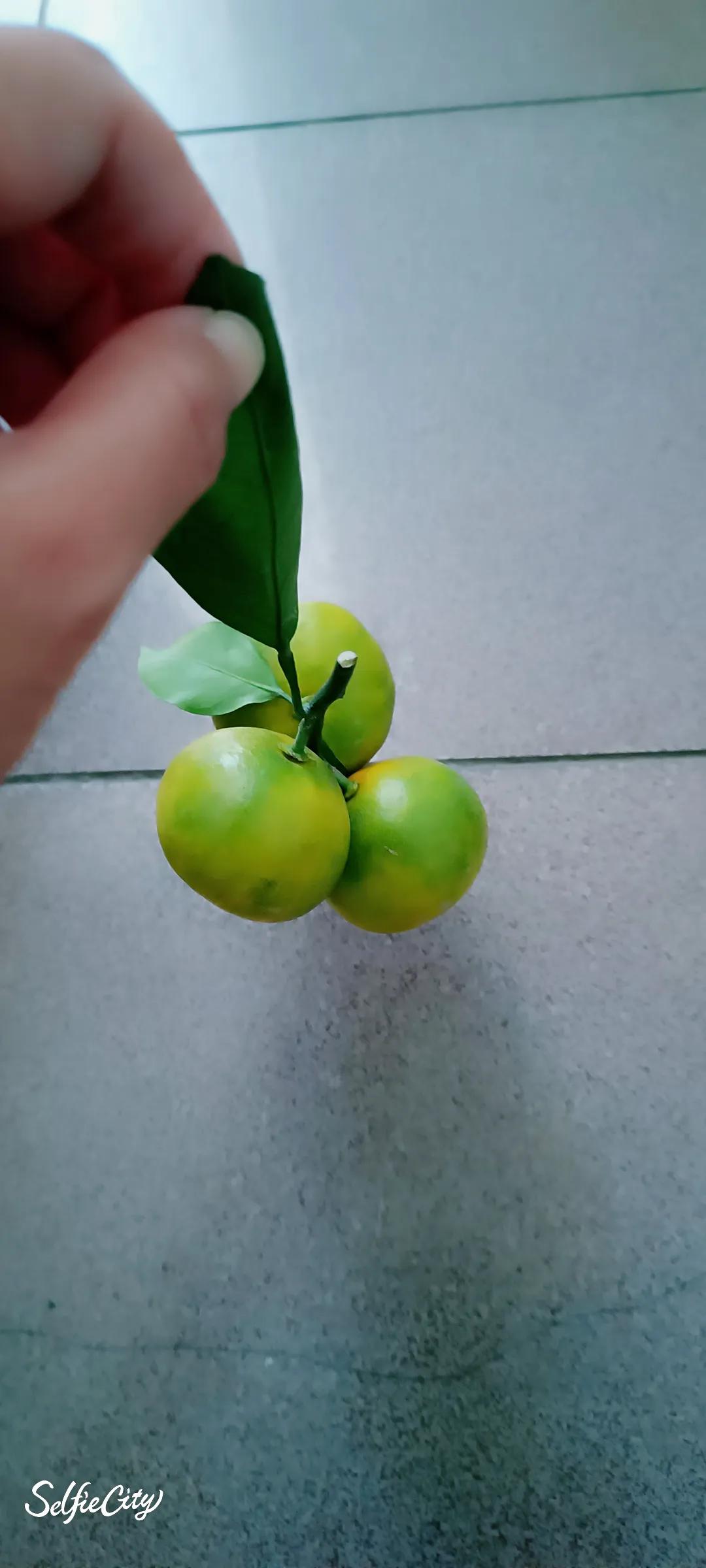 Small oranges, sweet and sour - iNEWS