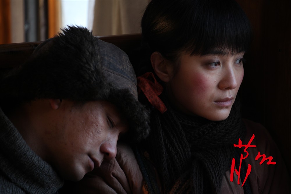 In the movie "Xiao Hong", what method did the director use to explain a ...