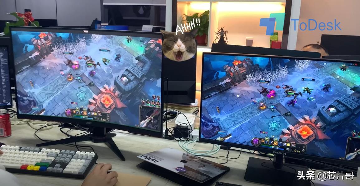 Remote control of Todesk has mixed reviews?Who is better with sunflower ...