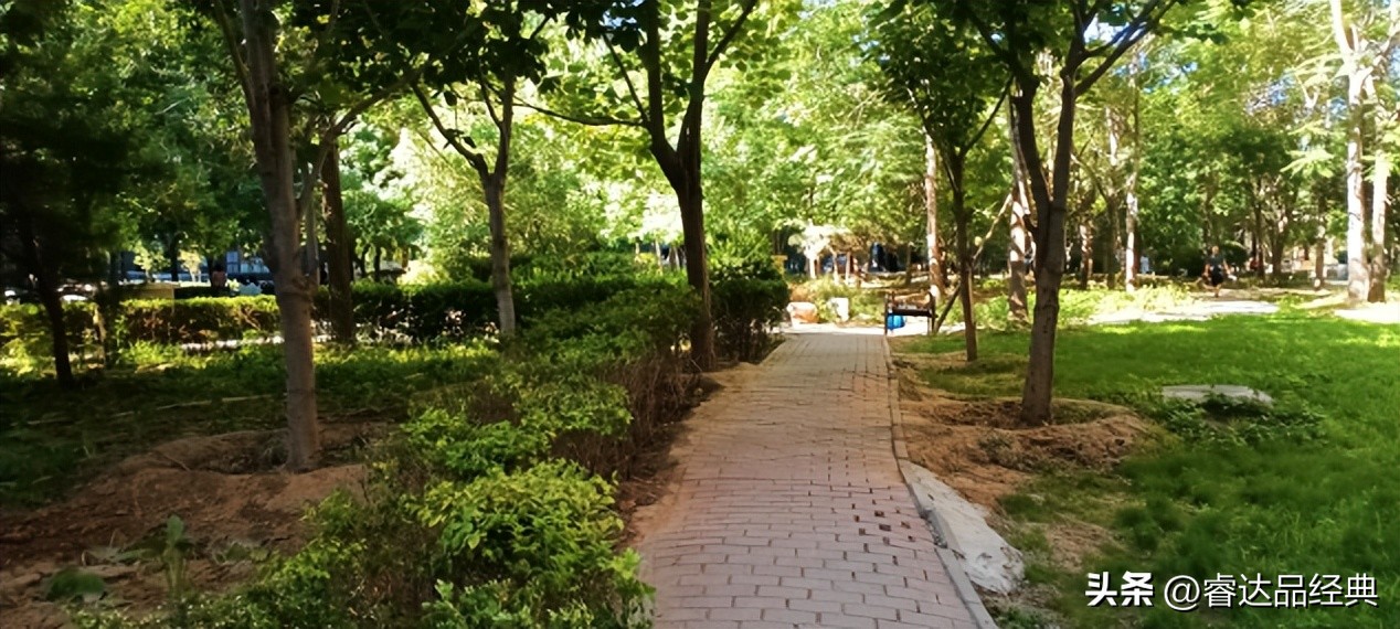 The acid ball is gradually recovering, and it is comfortable to grow up ...