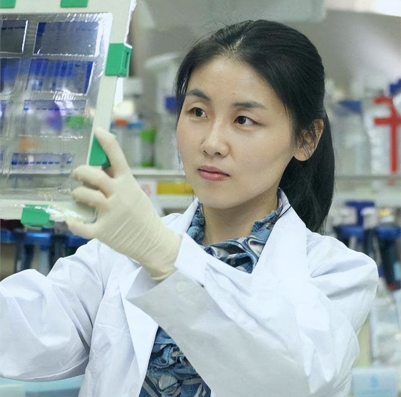 Inventory of Shi Yigong's three beautiful disciples: Yan Ning, Wan ...