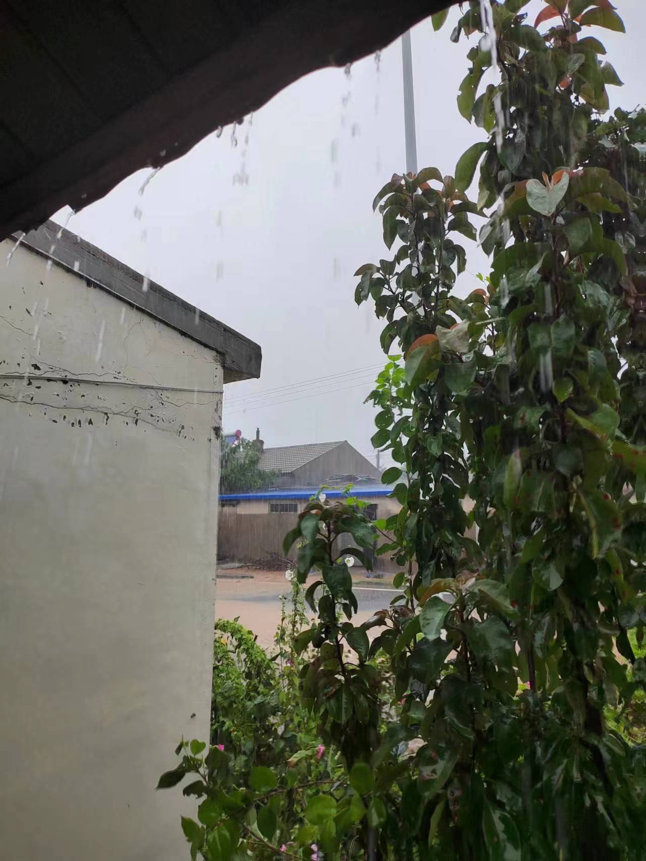 Laotieshan hot spring in heavy rain - iMedia