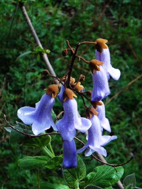 Congratulations to Huaxia Film and Television Centennial Red - iMedia