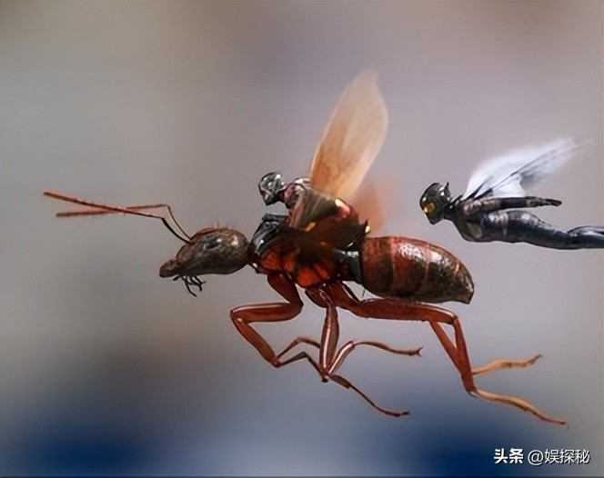 "Ant-Man": A Little Man Hero in a Science Fiction World - iMedia