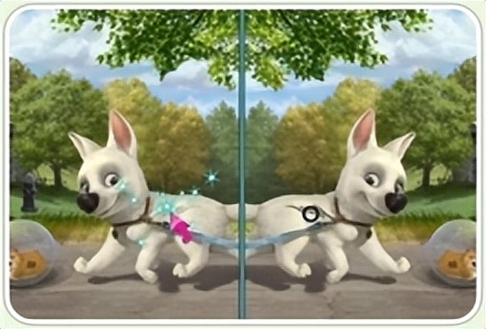 "Flash Dog", which incorporates artistic features, conveys information ...