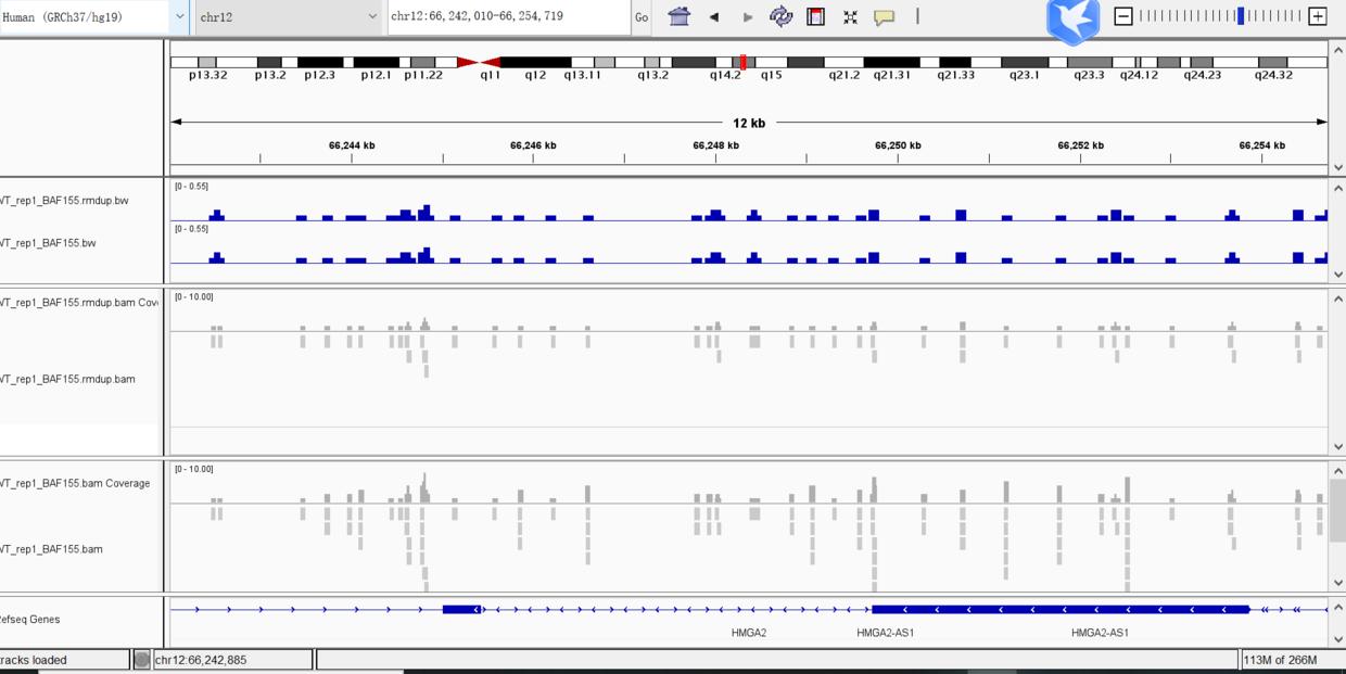 CHIP-Seq(4):把bam文件轉為bw文件，使用deeptools進行可視化 - 資訊咖