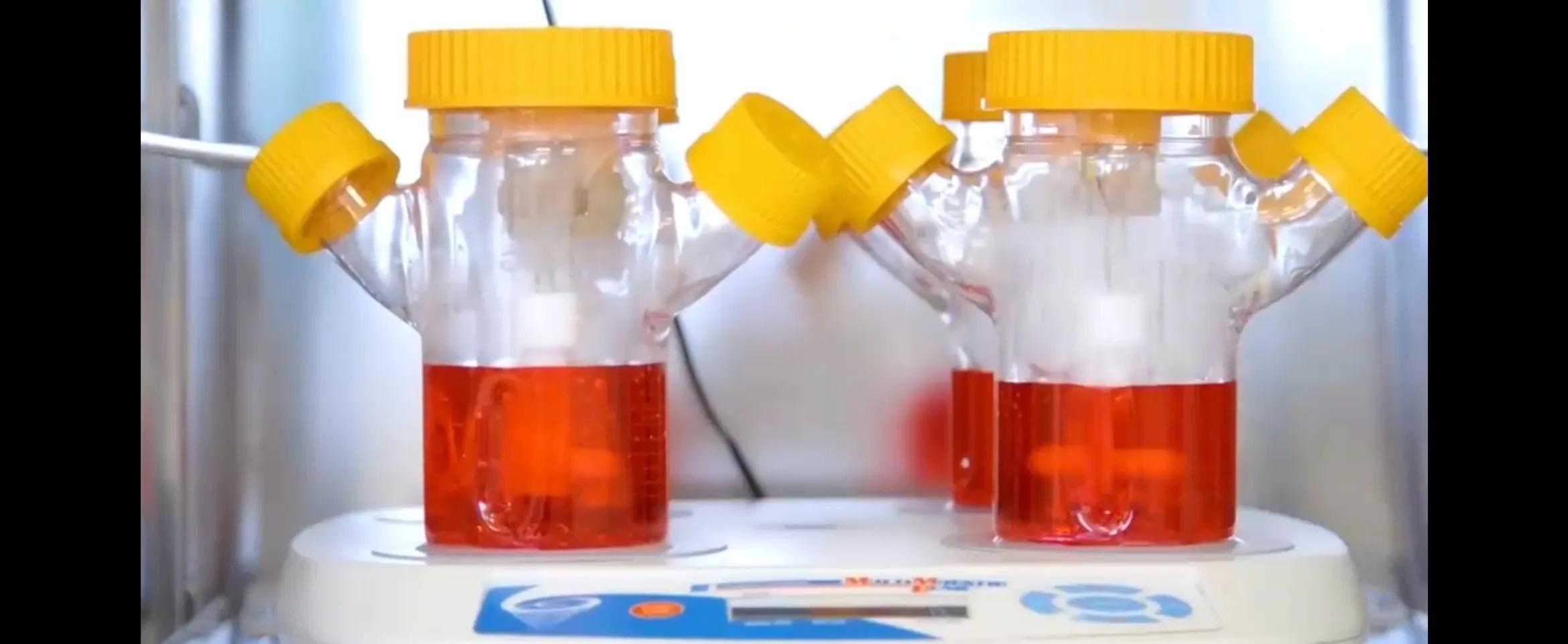 The artificial real beef developed by Israel has the same texture and ...