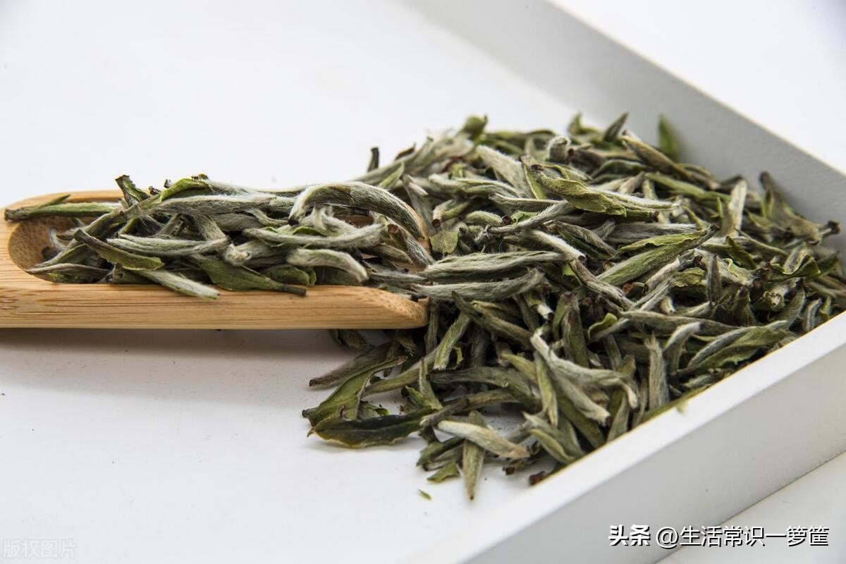 Exploring the Charm of Chinese Famous Tea: Tasting Notes of Baihao ...