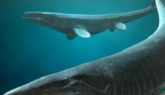 100 million years ago, the ancestors of snakes evolved independently 26 ...