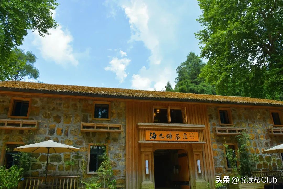So beautiful!These "hidden" homestays in the forest in Anshun let you ...