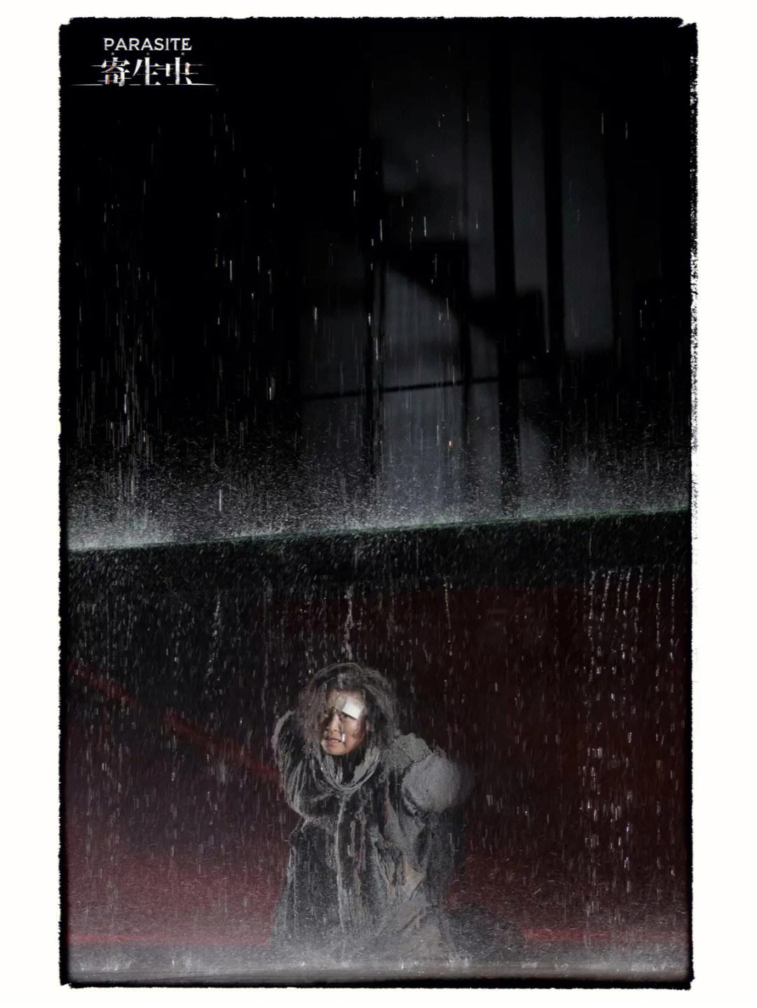 What impact did the lensing of metaphors in "Parasite" have on the ...