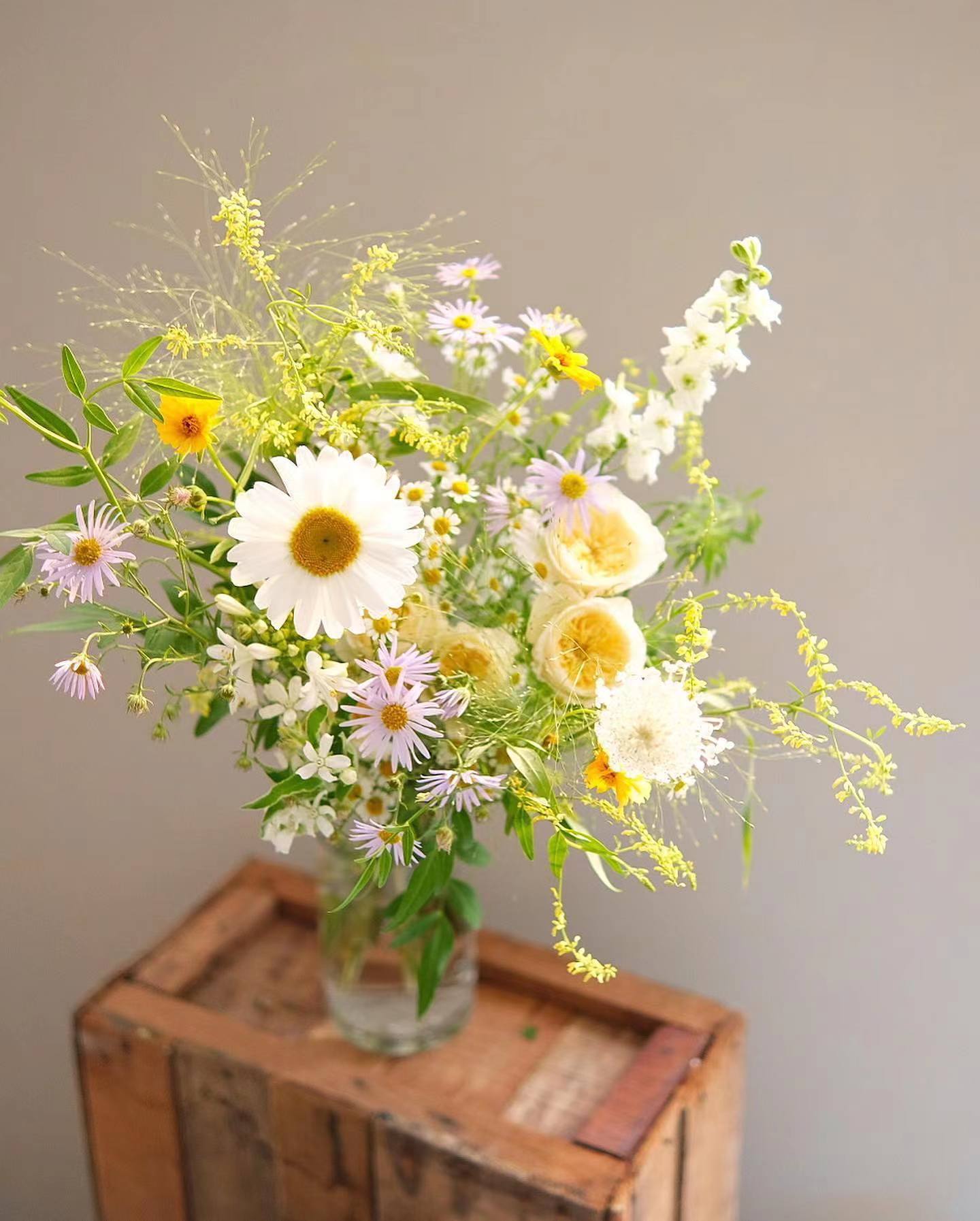 Summer fog flower use guide - iNEWS