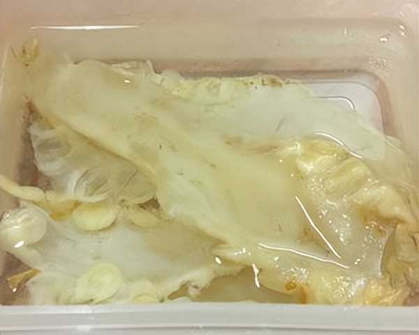 Isinglass is a nutritious and nourishing stew. The method of foaming ...