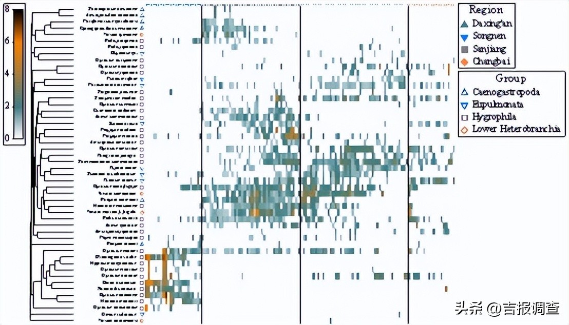 Progress has been made in the geographic pattern and formation ...