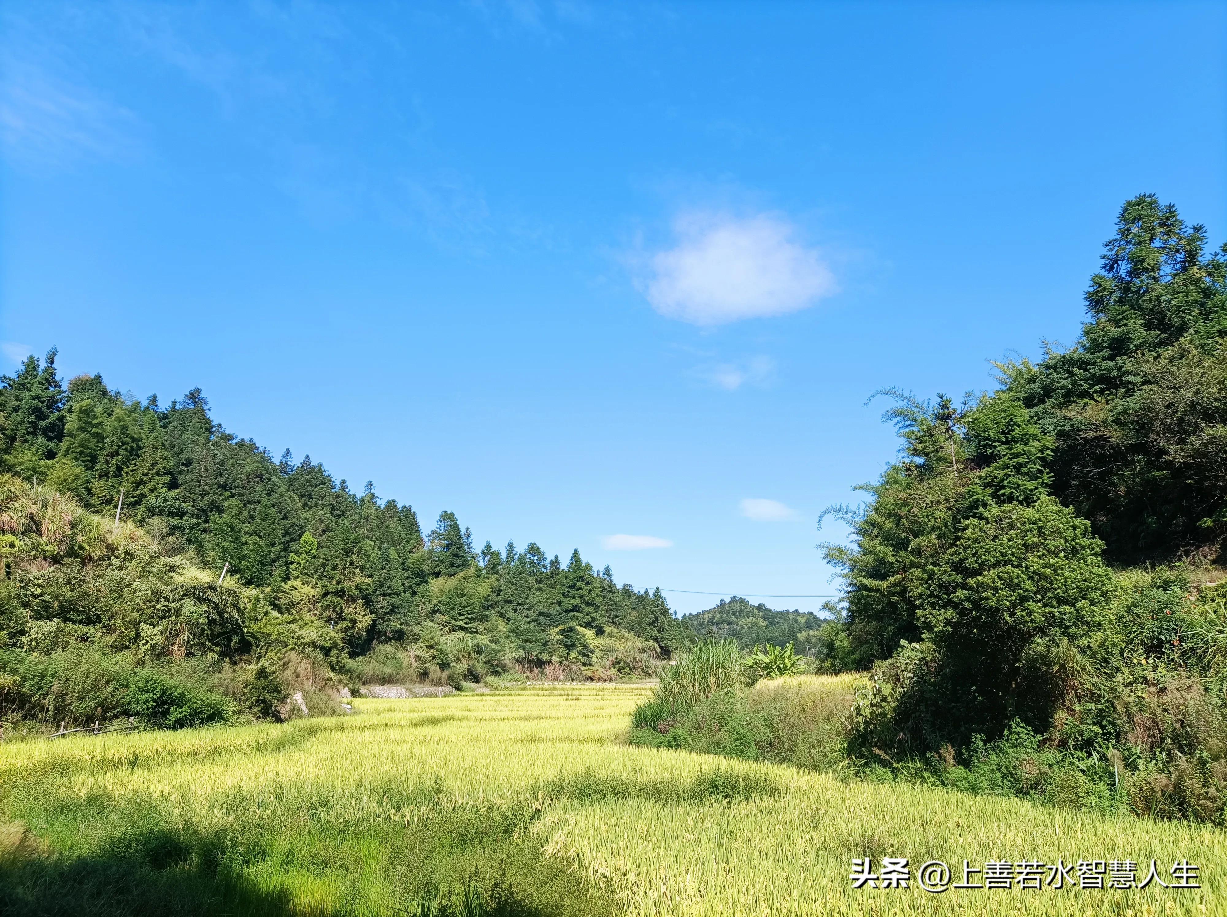 This 26-kilometer cross-country line is beautiful to the extreme - iNEWS