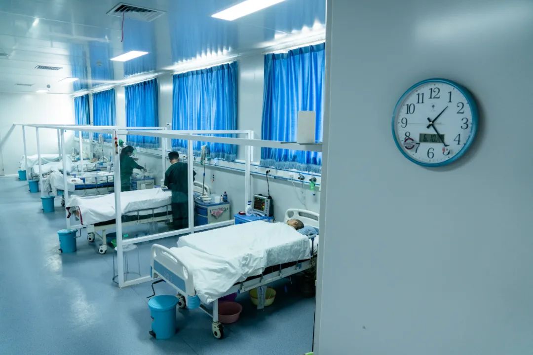 Seven years spent with 200 vegetative people - iNEWS