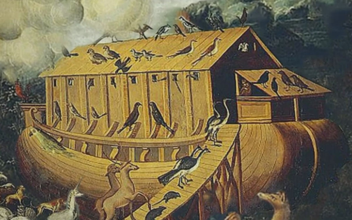 What are the different characteristics and models of Chinese and ...