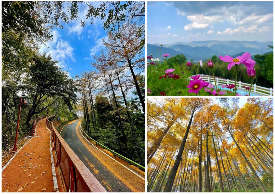 2023 Moganshan Core Scenic Area Planning and Yinshan Street Conceptual ...