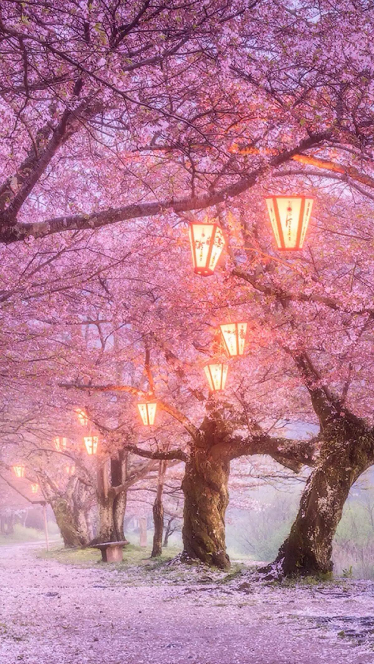 Zhang Xiaofeng's "I am" in the classic sentiment sentence - iNEWS