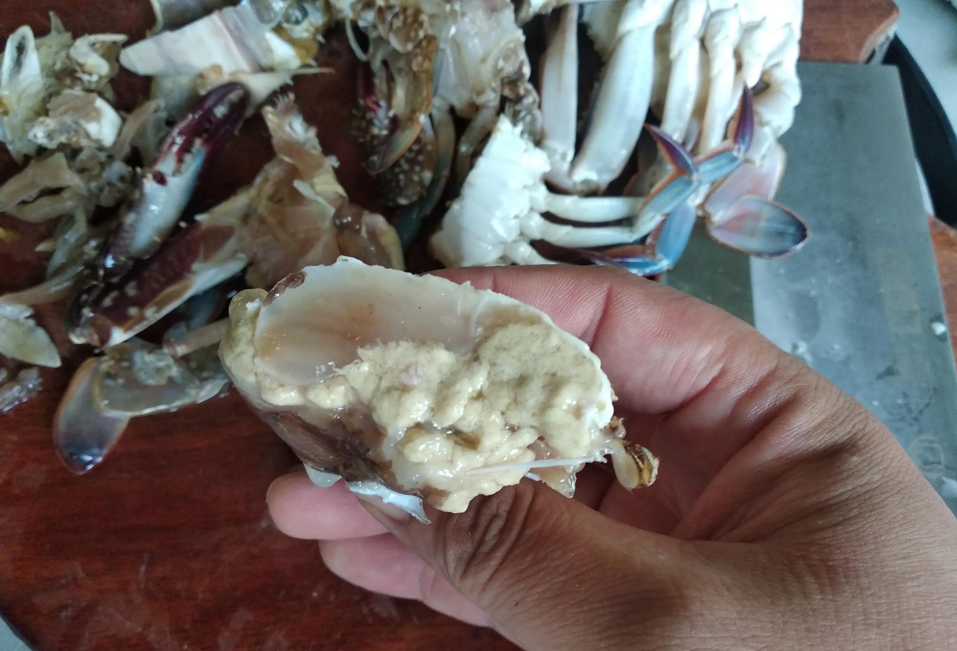 The fishing moratorium is over and a large number of swimming crabs are ...