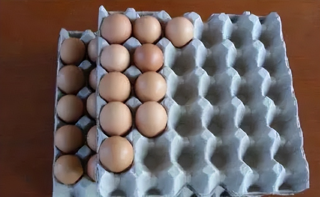 When selling scraps, it's great to leave egg trays behind to grow ...