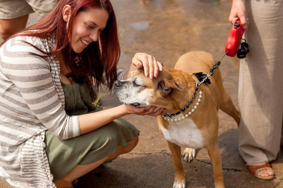 Are you a "dog physique"?It turns out that dogs love these 5 types of ...