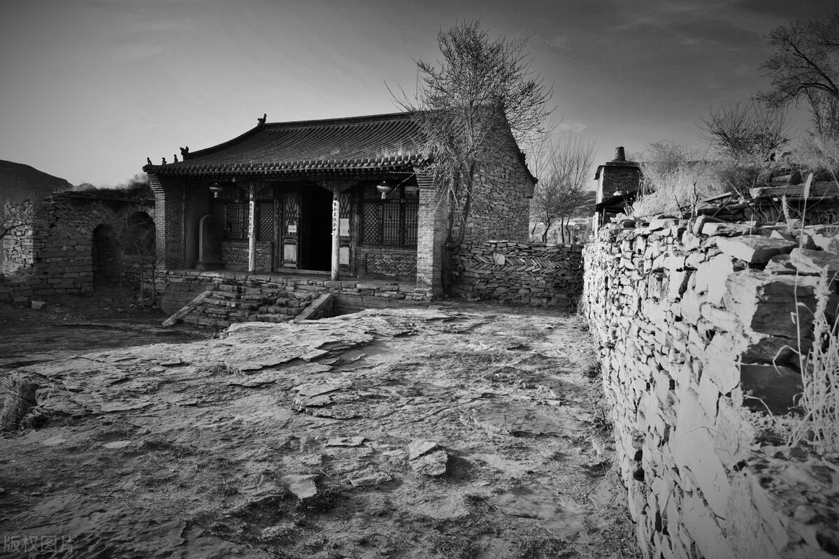 Seven hunters were attacked by tigers in Changbai Mountain, they fought ...