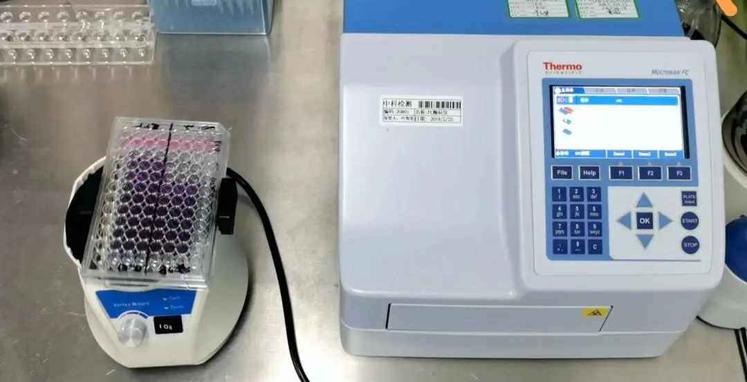 Timeless TCID50: a detection method suitable for many viruses - iNEWS