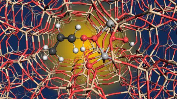 What effect does the catalyst have on the synthesis and curing of epoxy ...