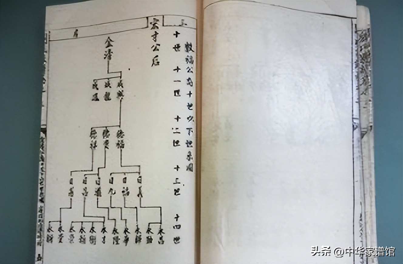 How to repair the lost family tree? There are four main points! - iNEWS
