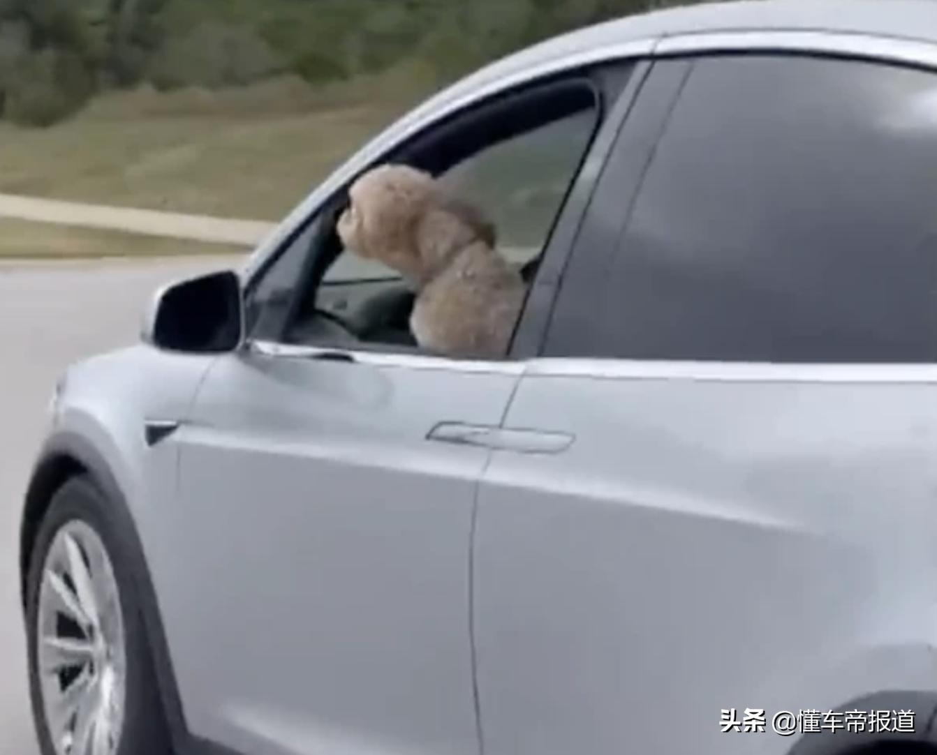 Autonomous driving is not safe?Musk: People have prejudice against ...