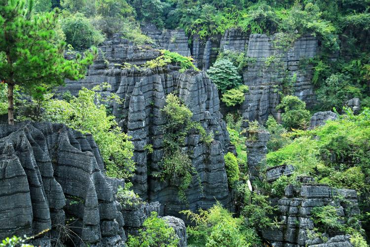 The most distinctive Enshi! Five-day visit to Enshi with full coverage ...