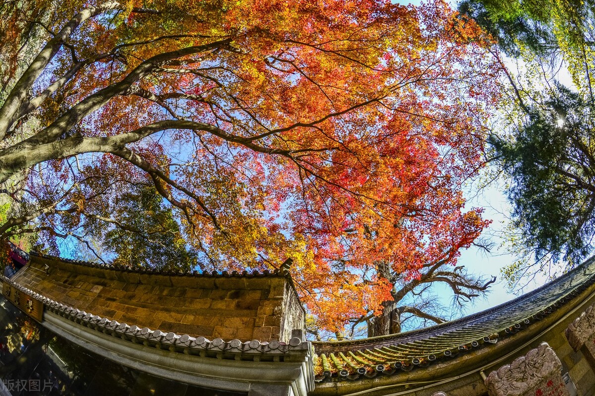 10 classic Taoist sayings, let's understand the great wisdom of life ...