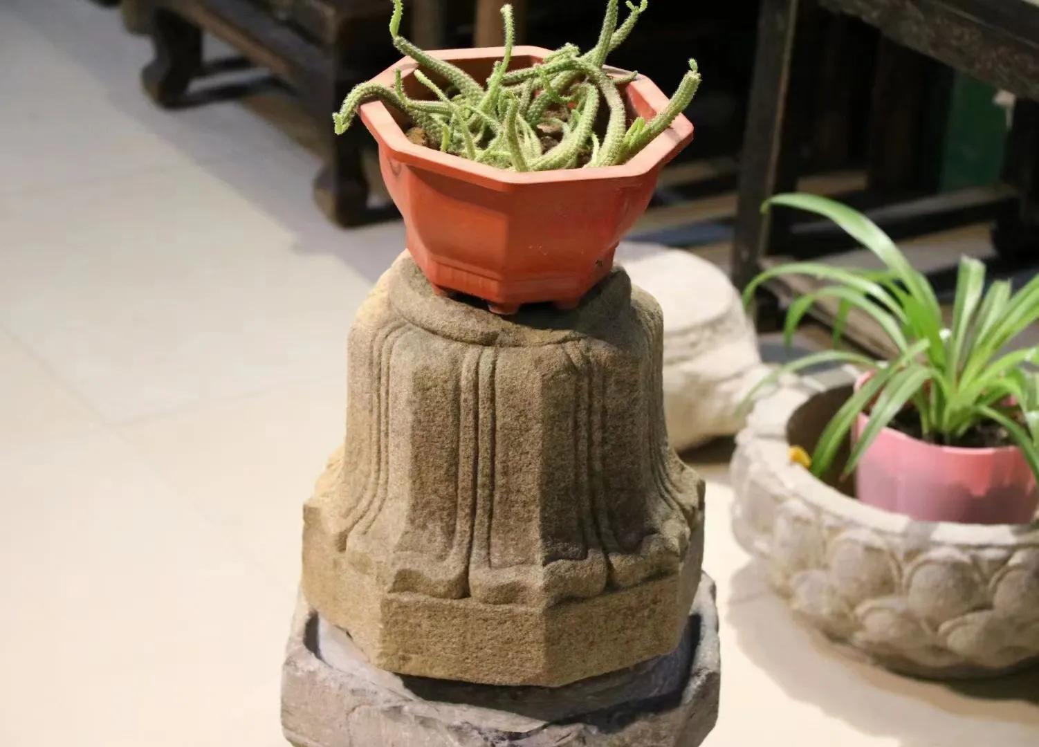 [Elegant Room - Qinglian Stone Seat] - iNEWS