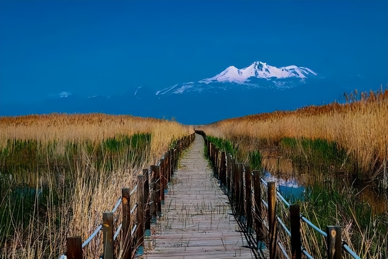 A critical overview of the history of capitalism - iNEWS