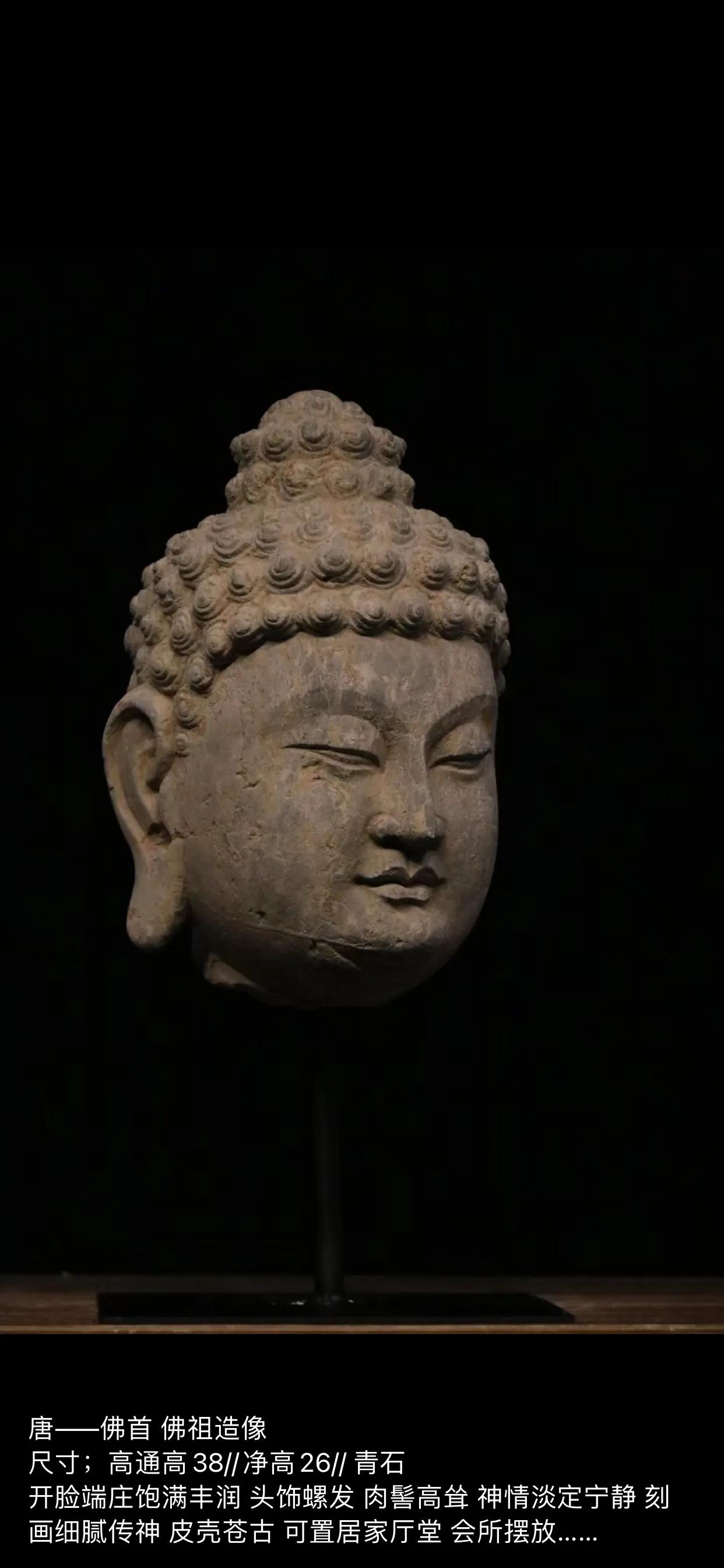 Tang Dynasty—Statue of Buddha Head Buddha - iNEWS