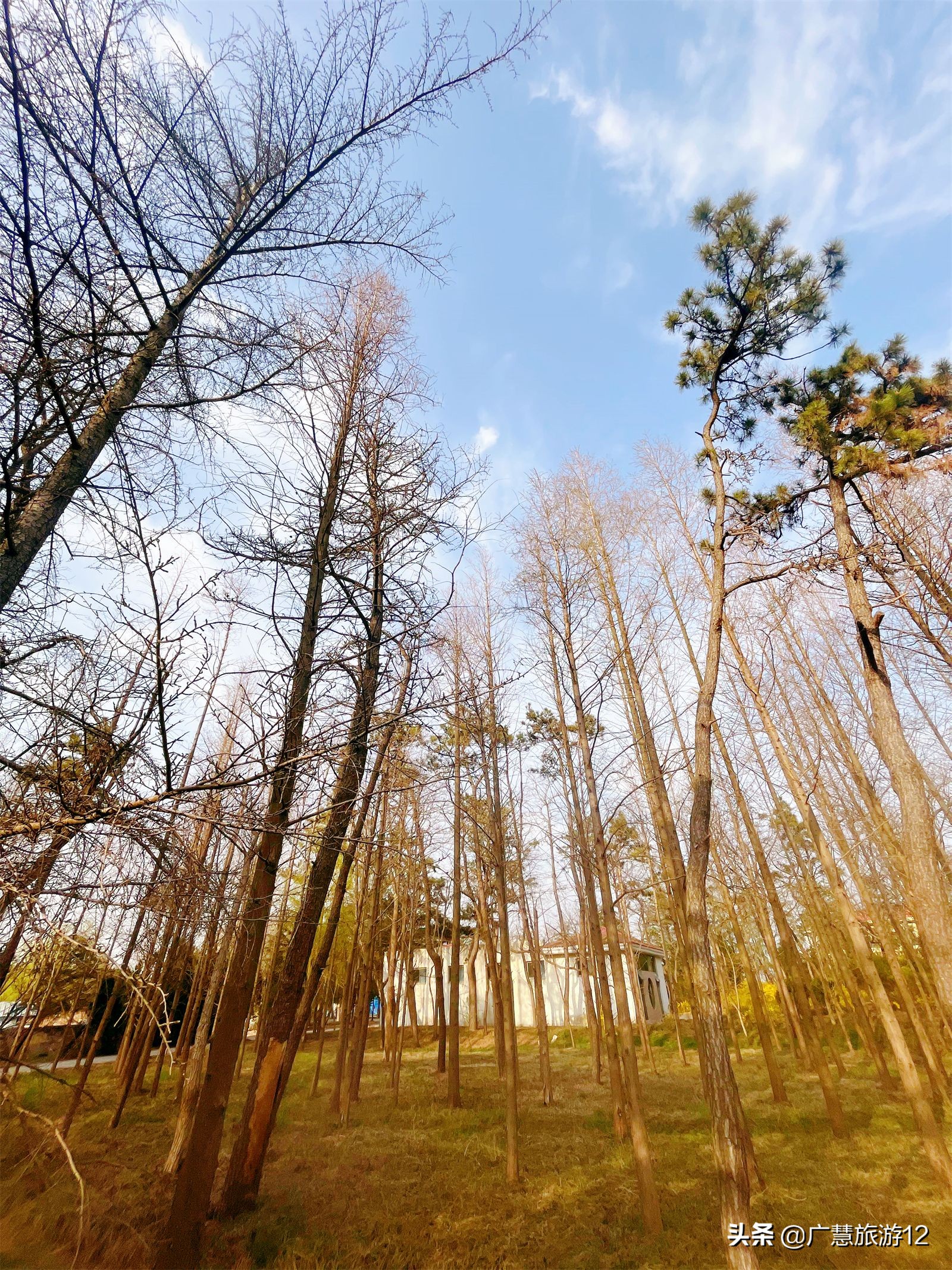 Rizhao Seaside National Forest Park - iNEWS