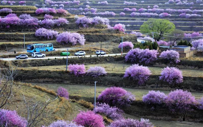 Step into nature, the scenery is infinite and beautiful - iNEWS