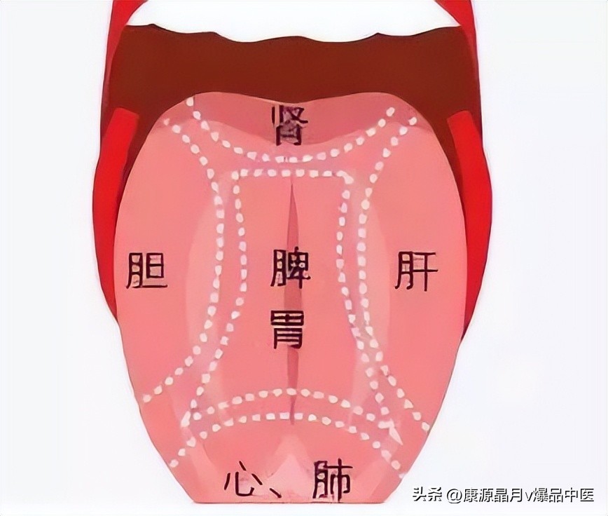 Precious tongue diagnosis map - iNEWS