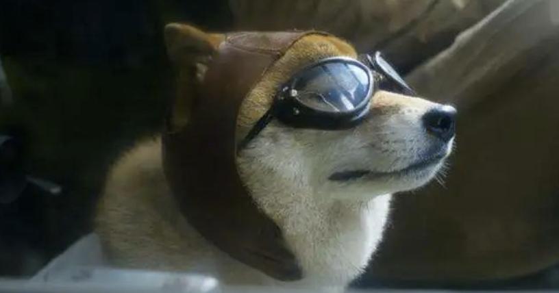 After finely picking up 10 super-powerful details in [Anonymous], I ...