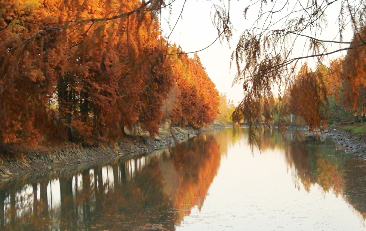 Shanghai Park, built in the first bay of Pujiang, where the Huangpu ...