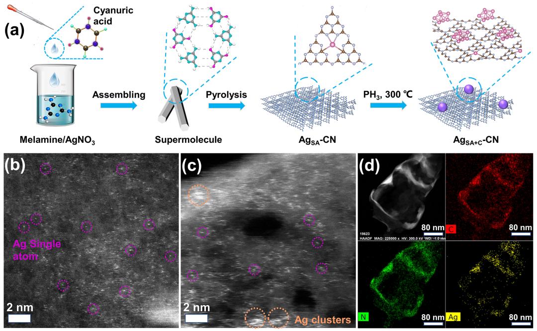Carbon Nitride Anchored Ag Single Atoms and Clusters for Orthogonal ...