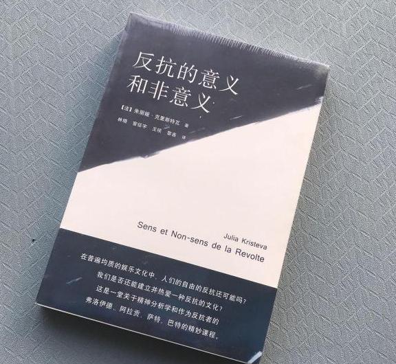 Taking "The Meaning and Non-meaning of Rebellion" as an example to ...