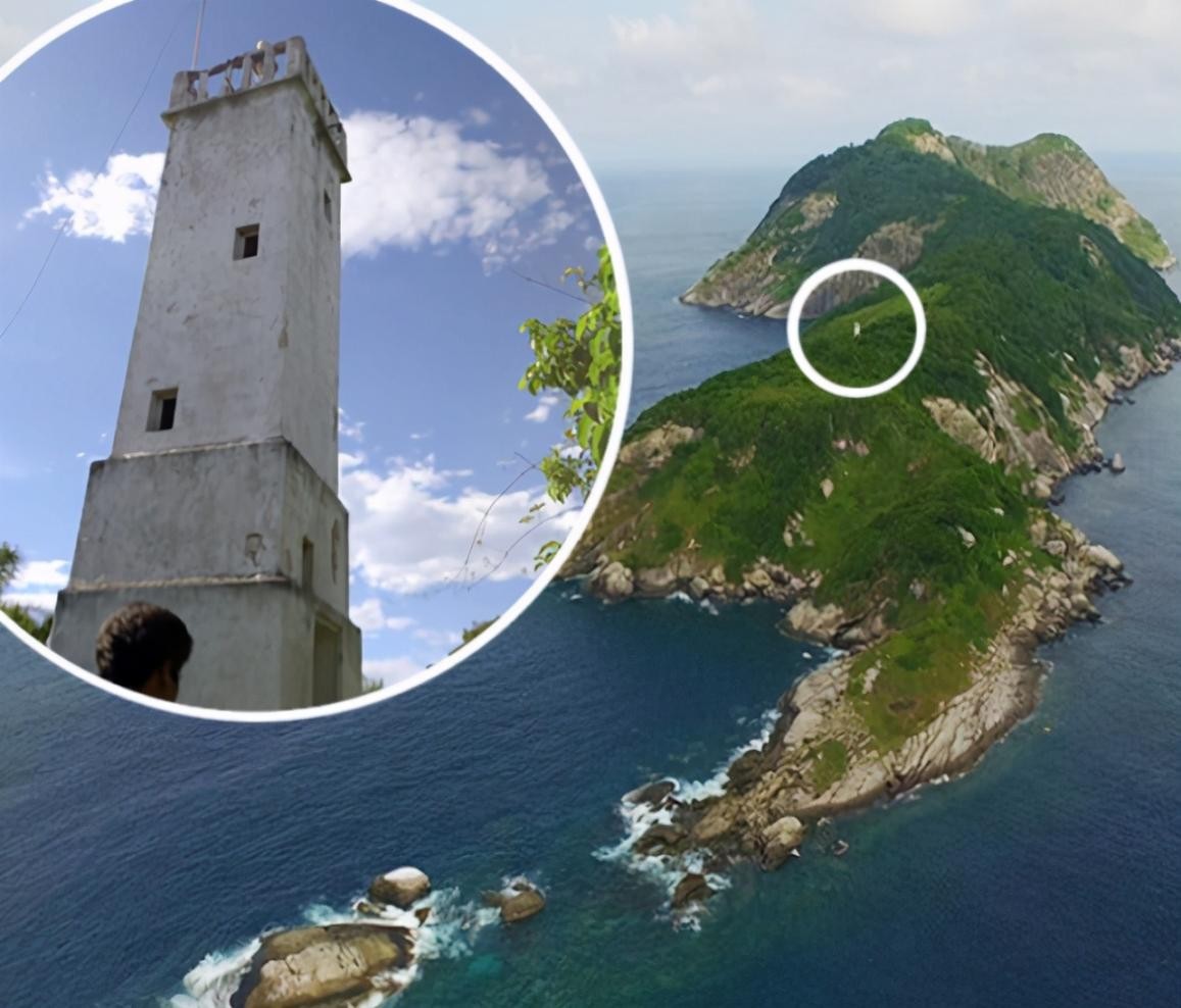 There are 5 snakes per square meter on Snake Island in Brazil. The ...