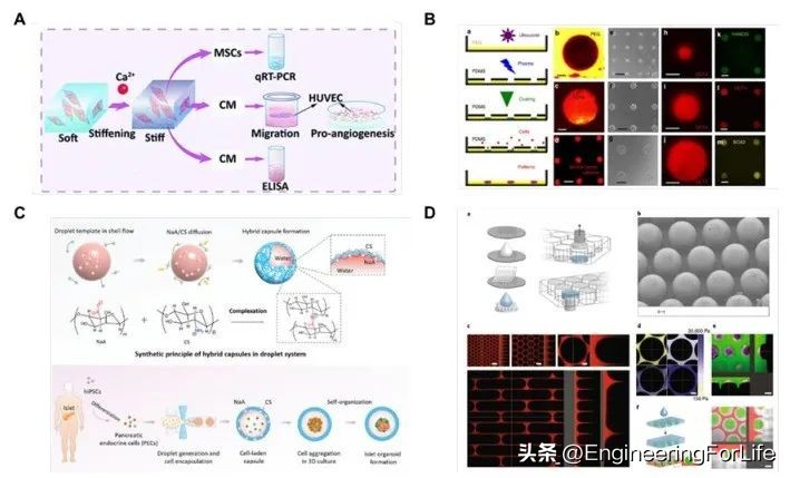 The latest review of "Bioact. Mater.": Starting from hydrogels, aiming ...